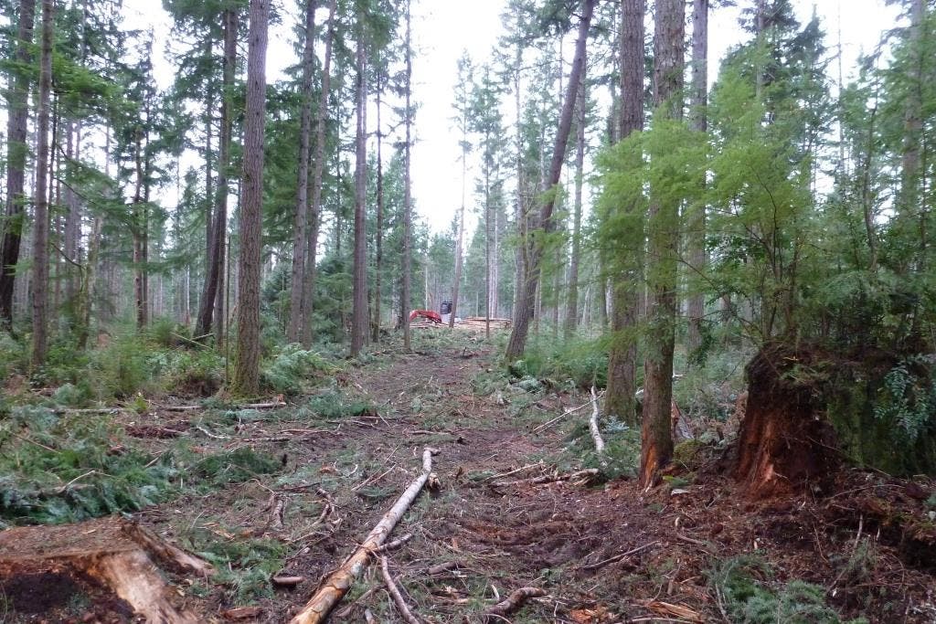 Logging on the Peninsulas topic of Watershed Council Meeting | Gig ...