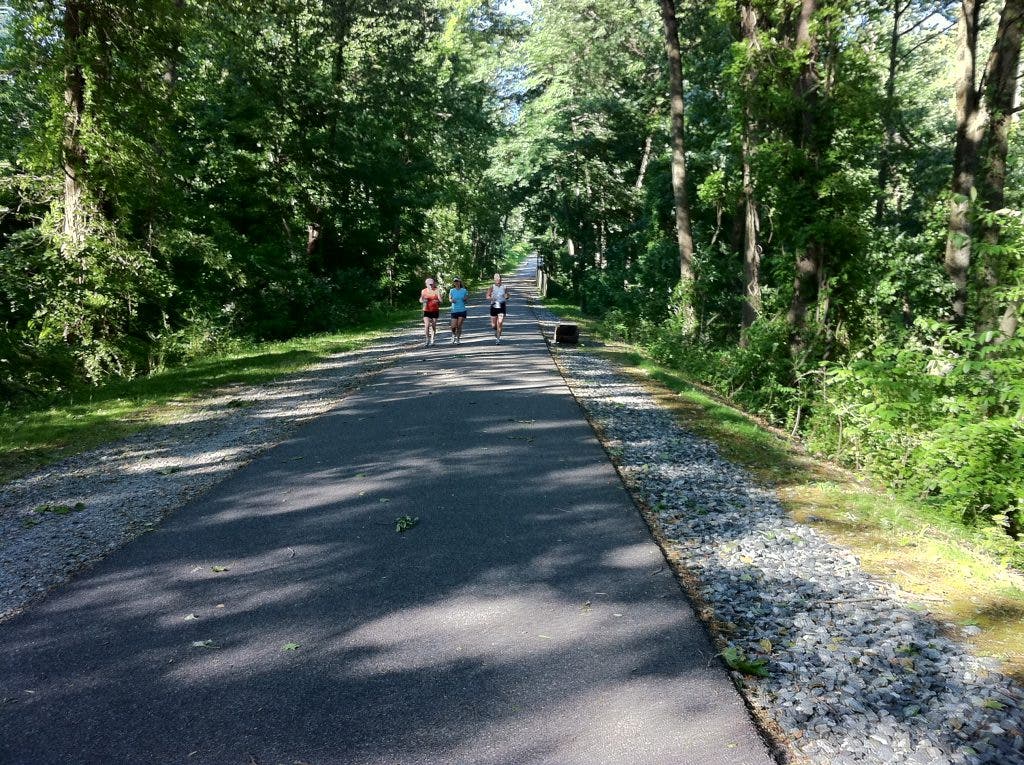 Day Trips: The Radnor Trail, Dinosaurs in Reading | Doylestown, PA Patch
