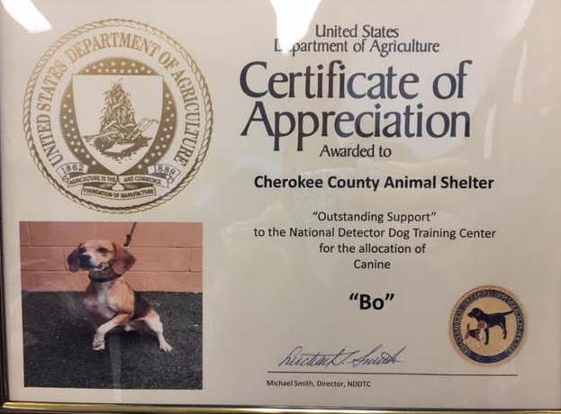 Shelter Dogs Accepted Into National Detector Training Program ...