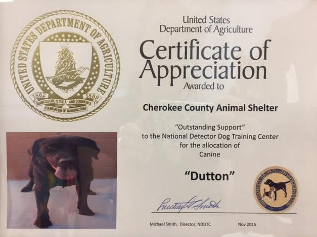 Shelter Dogs Accepted Into National Detector Training Program ...