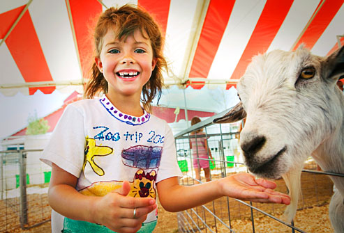 KIDS FUN FAIR & ZOO | Wilmington, MA Patch
