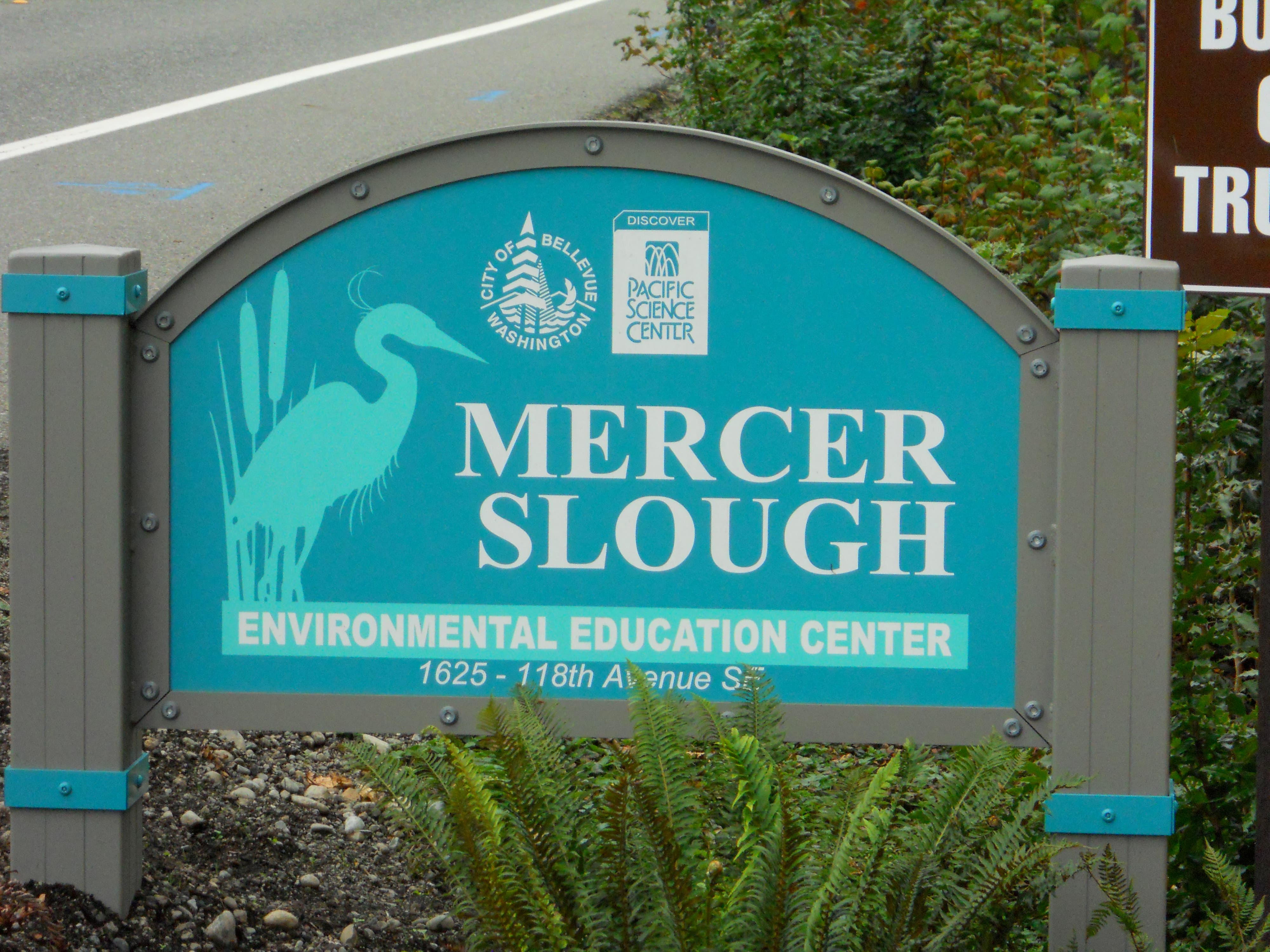 Explore nature with your little ones with Tadpole Tots at Mercer Slough ...