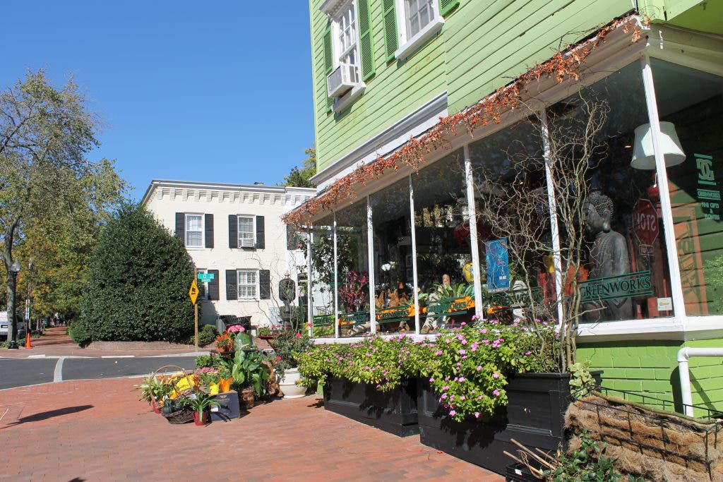PHOTOS: Fall in Georgetown 2012 | Georgetown, DC Patch