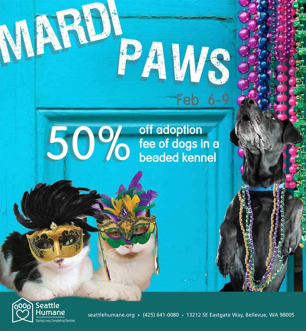 Mardi Paws | Bellevue, WA Patch