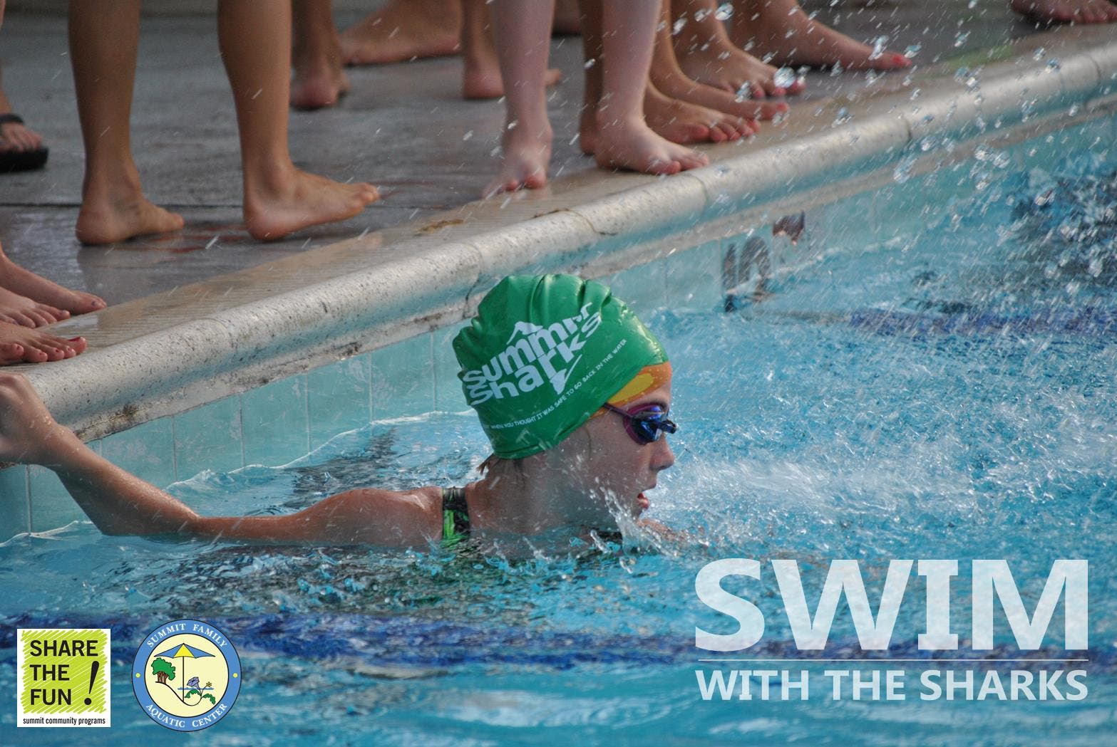 Swim with the Sharks | Summit, NJ Patch