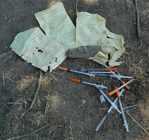'6,770 Dirty Needles Found in Santa Cruz County In Past Two Years ...