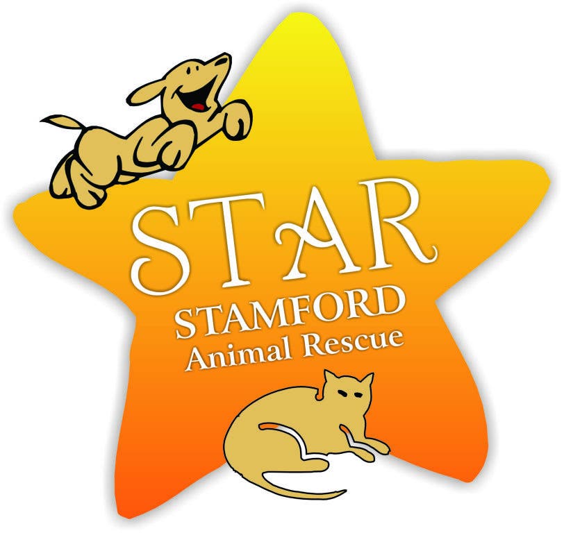 Join STAR Rescue for Super Pet Adoption Day and "Buddy Unchained ...