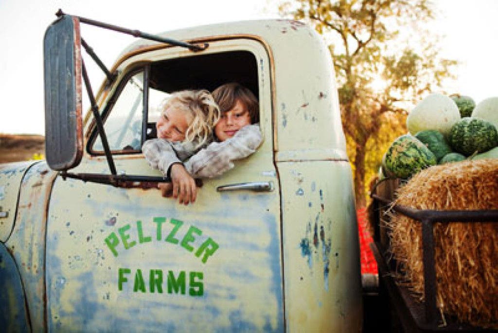 Peltzer Farms Pumpkin Patch Opens | Temecula, CA Patch
