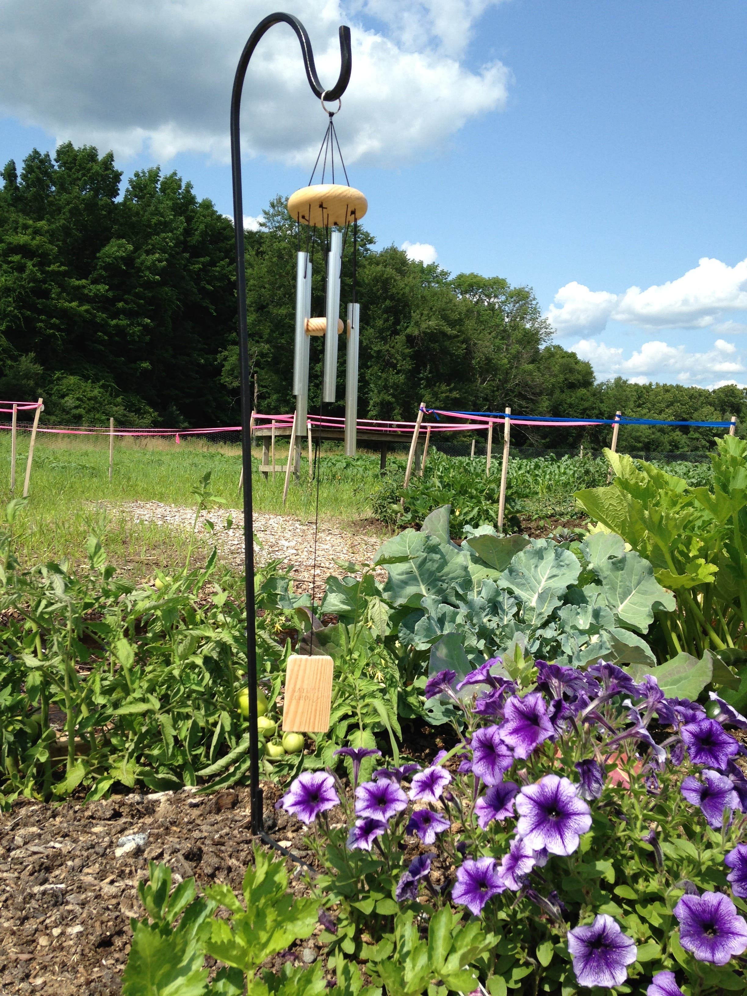 Check Out the Community Garden! | Windham, NH Patch