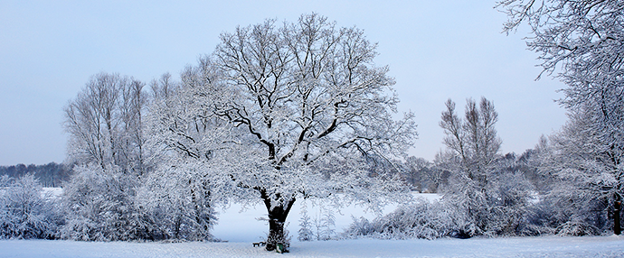 Warming Centers Open in Elmhurst During Winter Weather Advisories ...