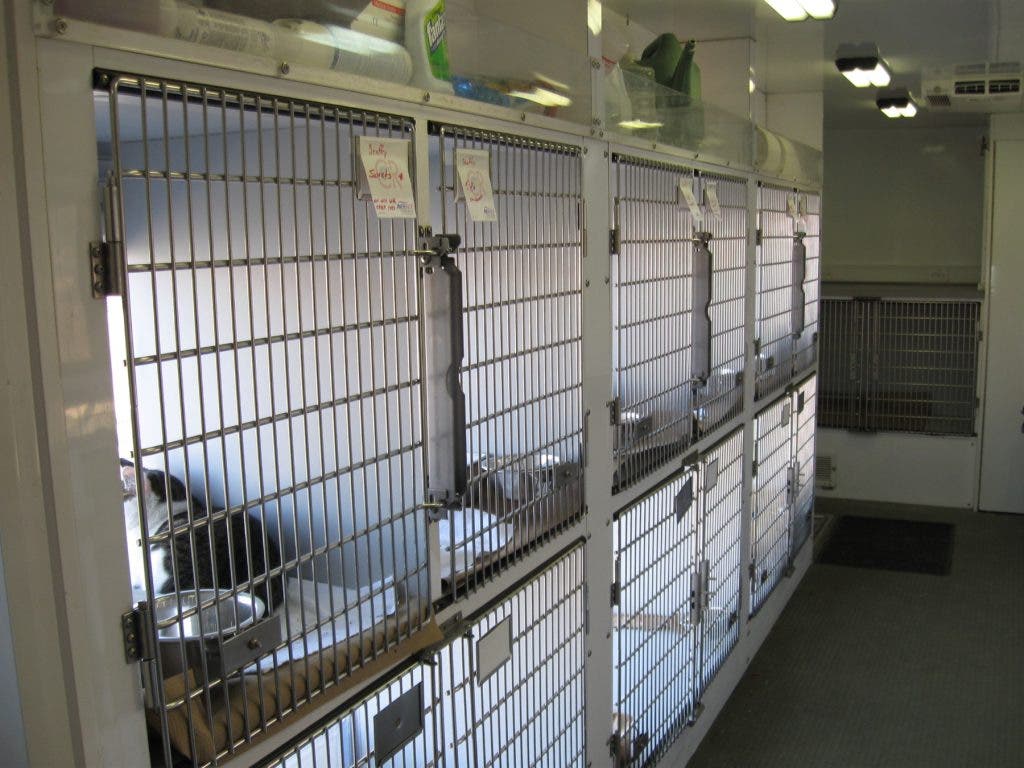 Liberty Humane Society Visits Wayne | Wayne, NJ Patch
