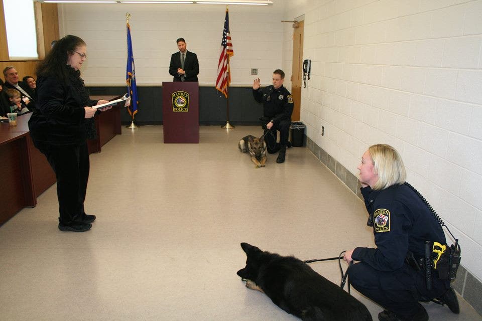 Meet Blaze and Sar: Hamden Police Department Introduces New K-9's ...