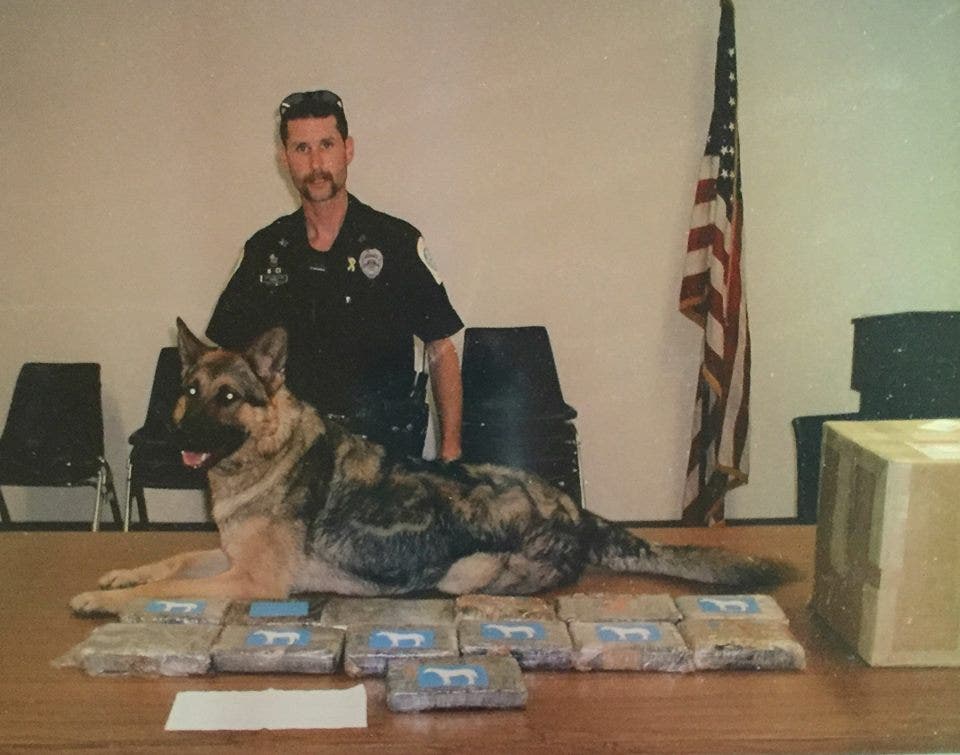 Retired Hamden Police K-9 Cesare Dies at 14 | Hamden, CT Patch
