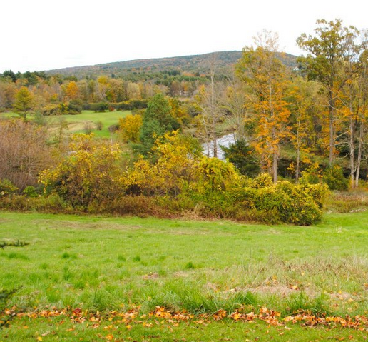 10 Best Places to See Fall Foliage in Connecticut | Manchester, CT Patch