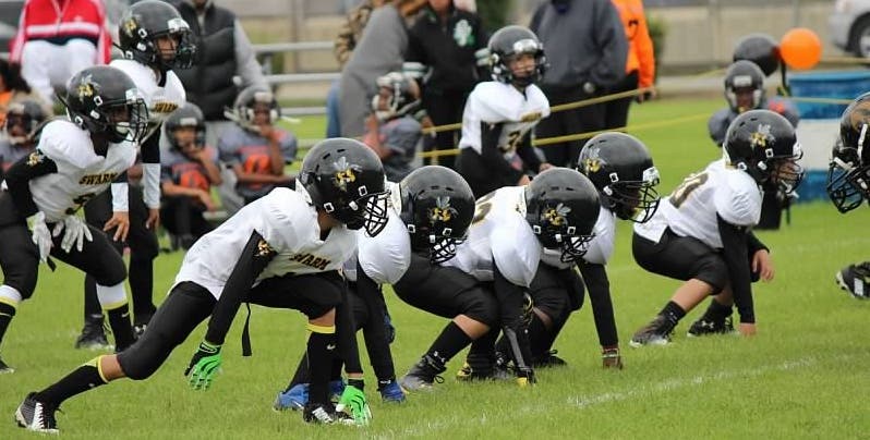 Calling all boys and girls, ages 5-14! Darien Swarm Football & Cheer ...
