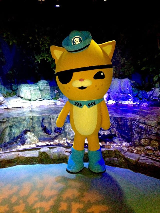 Octonauts Dive in at SEA LIFE Michigan | Bloomfield, MI Patch
