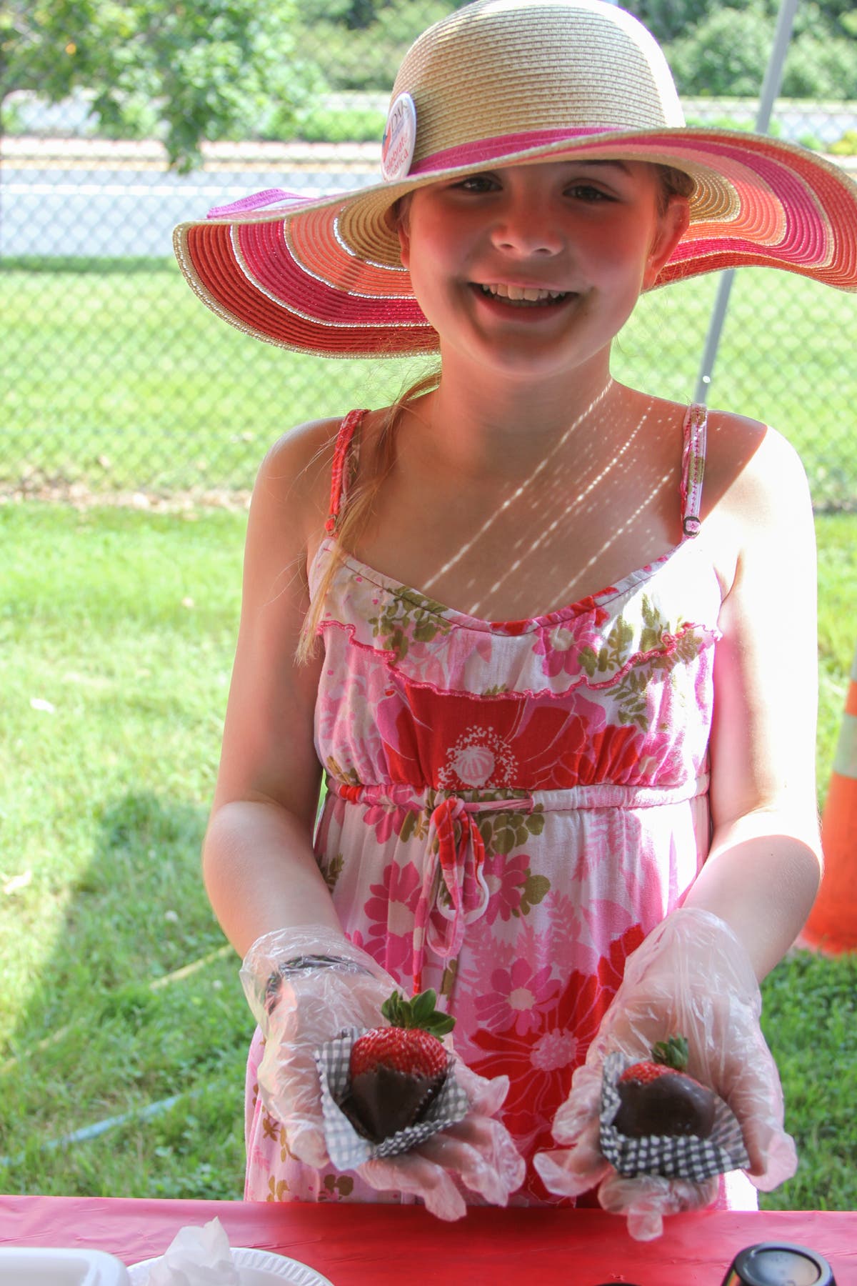 Ann Arrundell Historical Society Announces Strawberry Festival ...