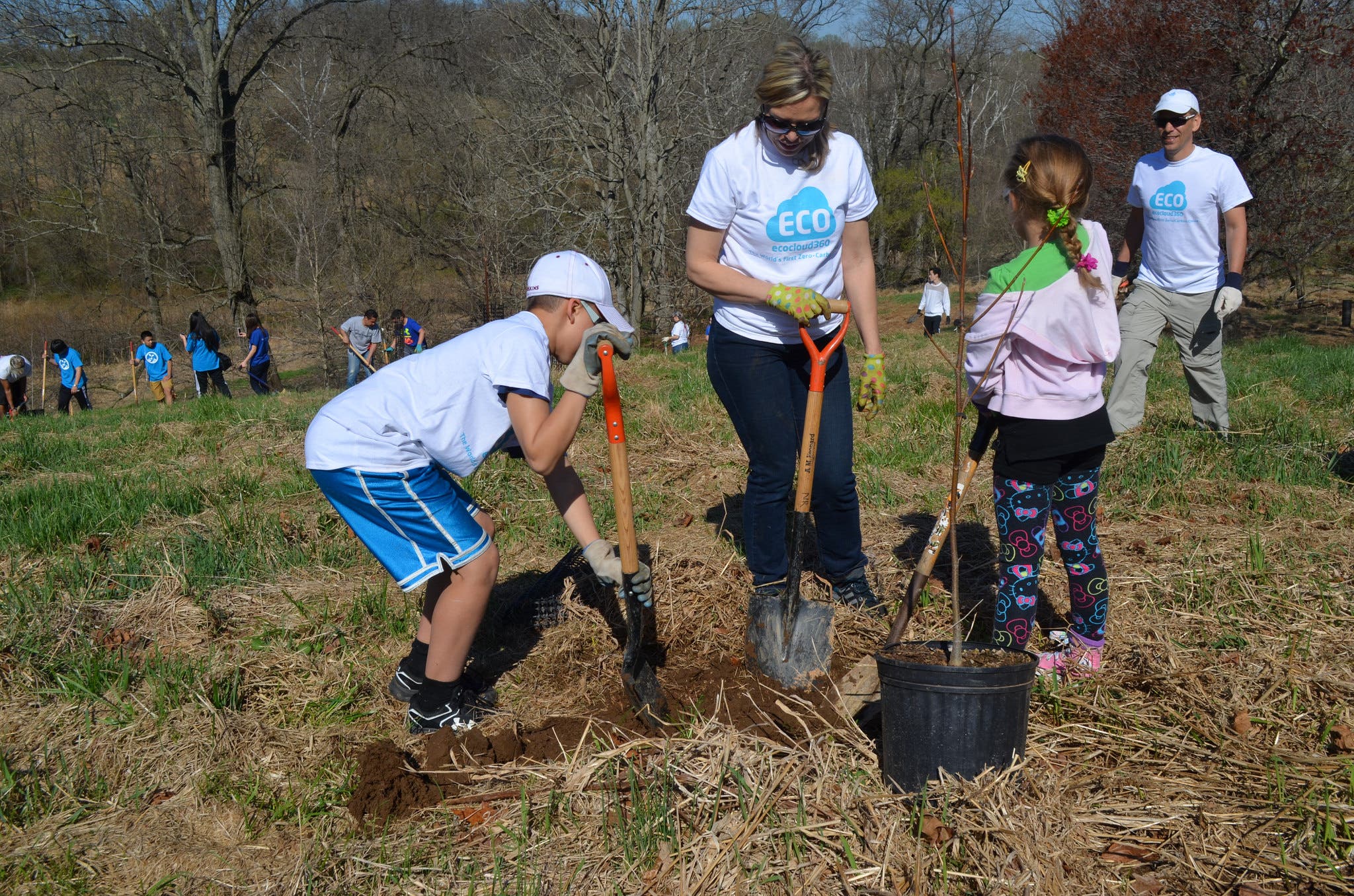 Earth Day Tree Planting Celebration | Columbia, MD Patch