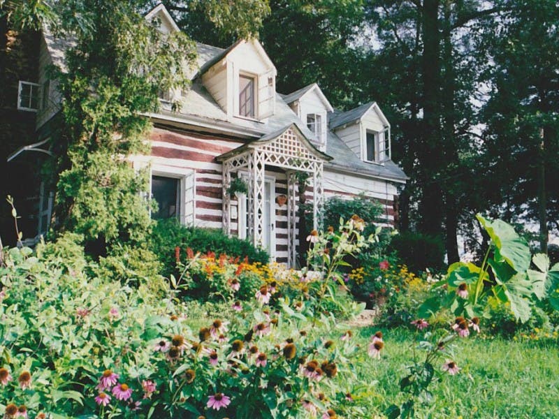 Explore the Nature Cabin at Lillian Holt Park | Essex, MD Patch