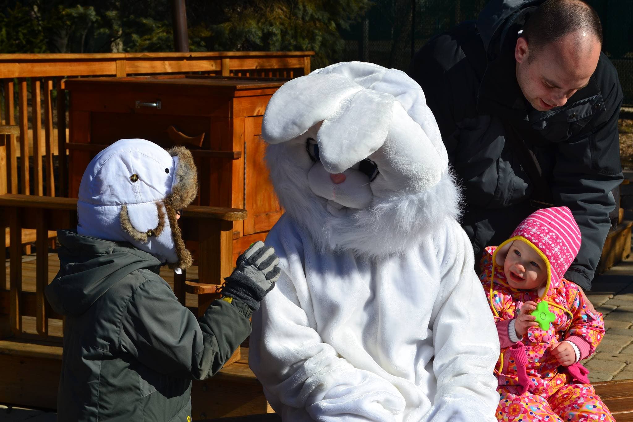 Meet the Busy Easter Bunny at Cosley Zoo's Busy Bunny Egg Hunt ...