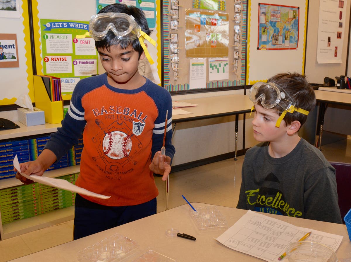 Townline Selected for Science Olympiad | Vernon Hills, IL Patch