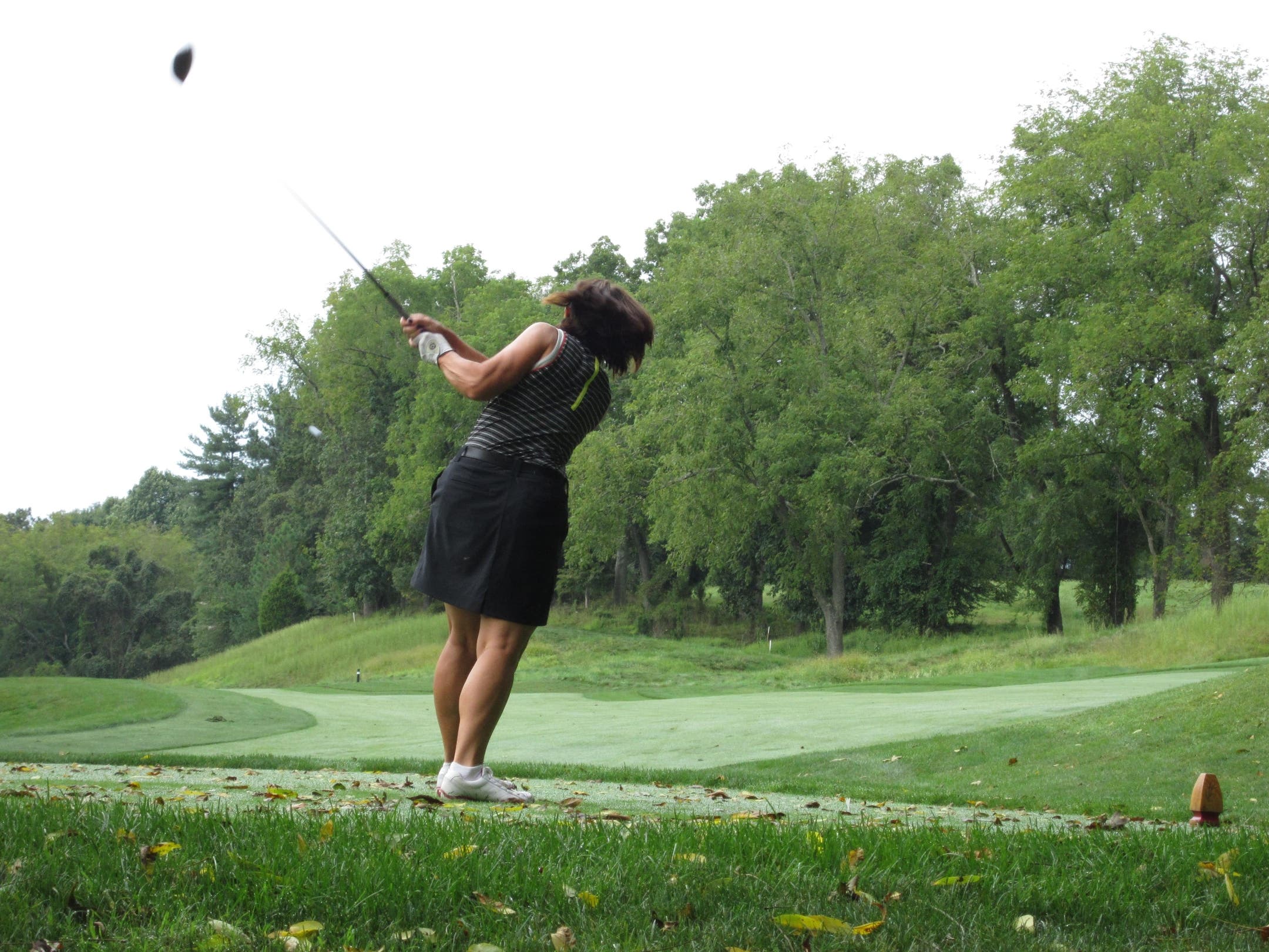Linwood Center's 35th Annual Golf Tournament! | Ellicott City, MD Patch