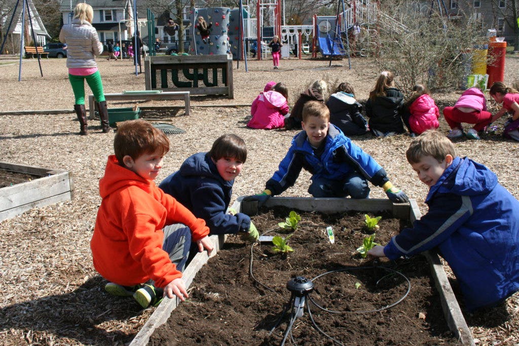 Growing Veggies for Lunch at Elizabeth Haddon School | Haddonfield, NJ ...
