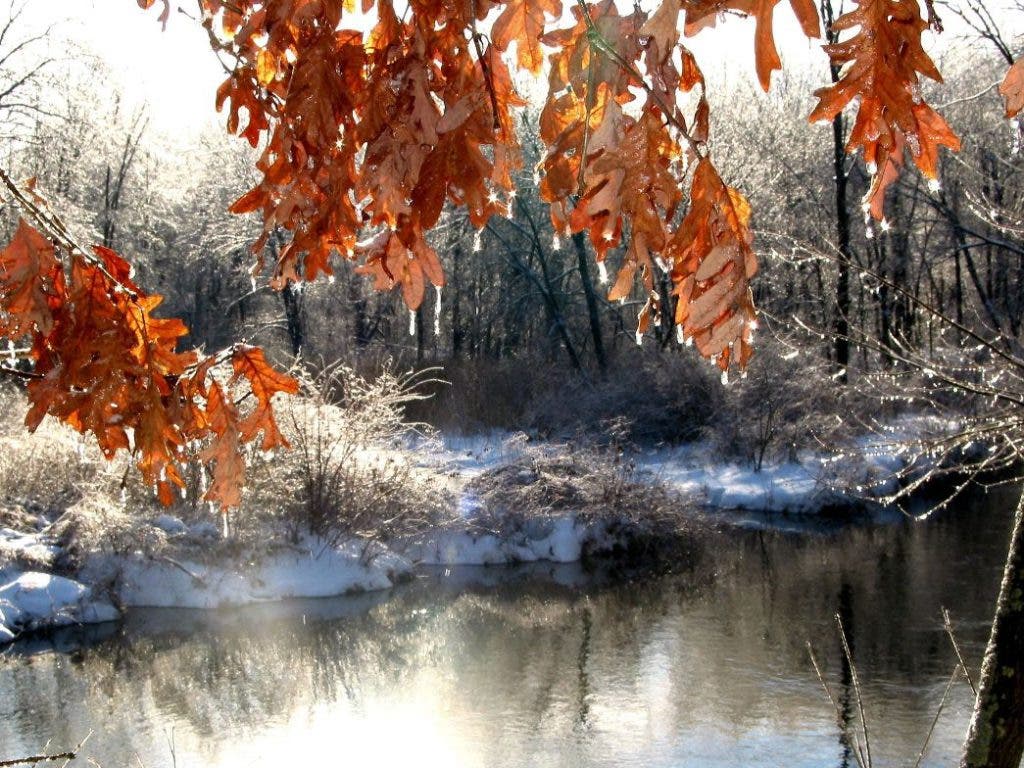 Super Bowl Hike Along the Scantic River | Enfield, CT Patch