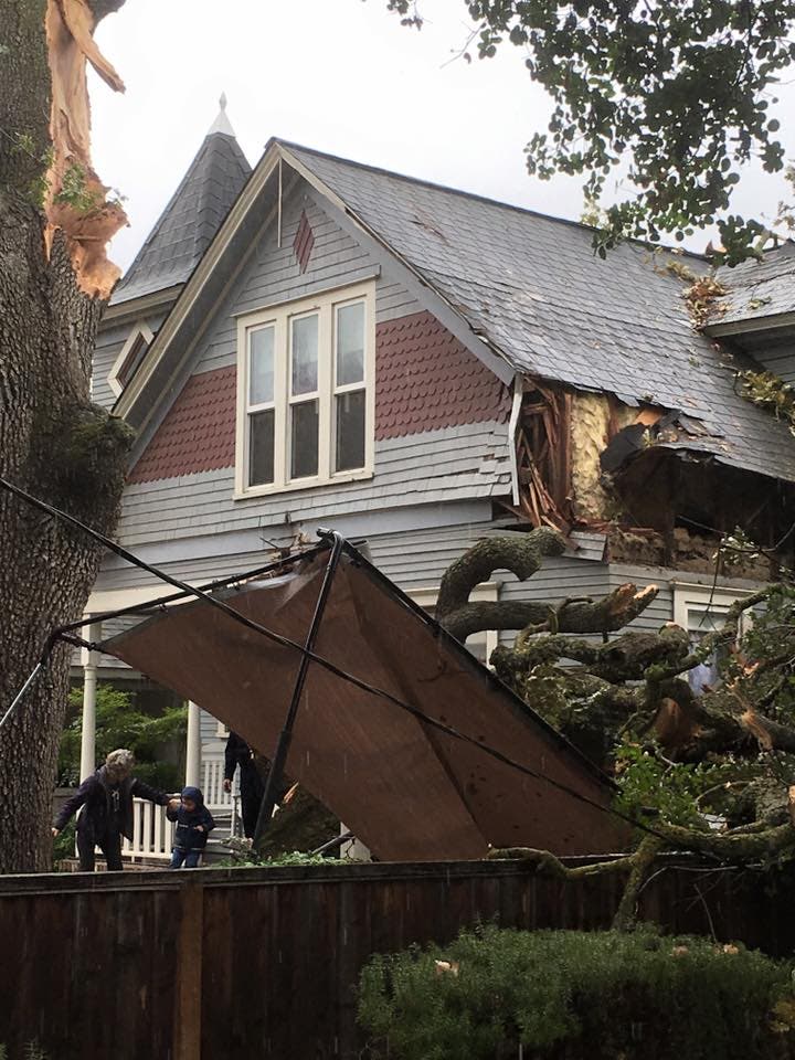 Large Tree Limb Falls on Home; Woman, Child Safely Evacuate | Gilroy ...