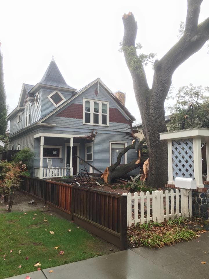 Large Tree Limb Falls on Home; Woman, Child Safely Evacuate | Gilroy ...