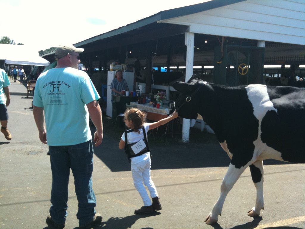 Step Right Up: The Real and True County Fair Experience is a Short ...