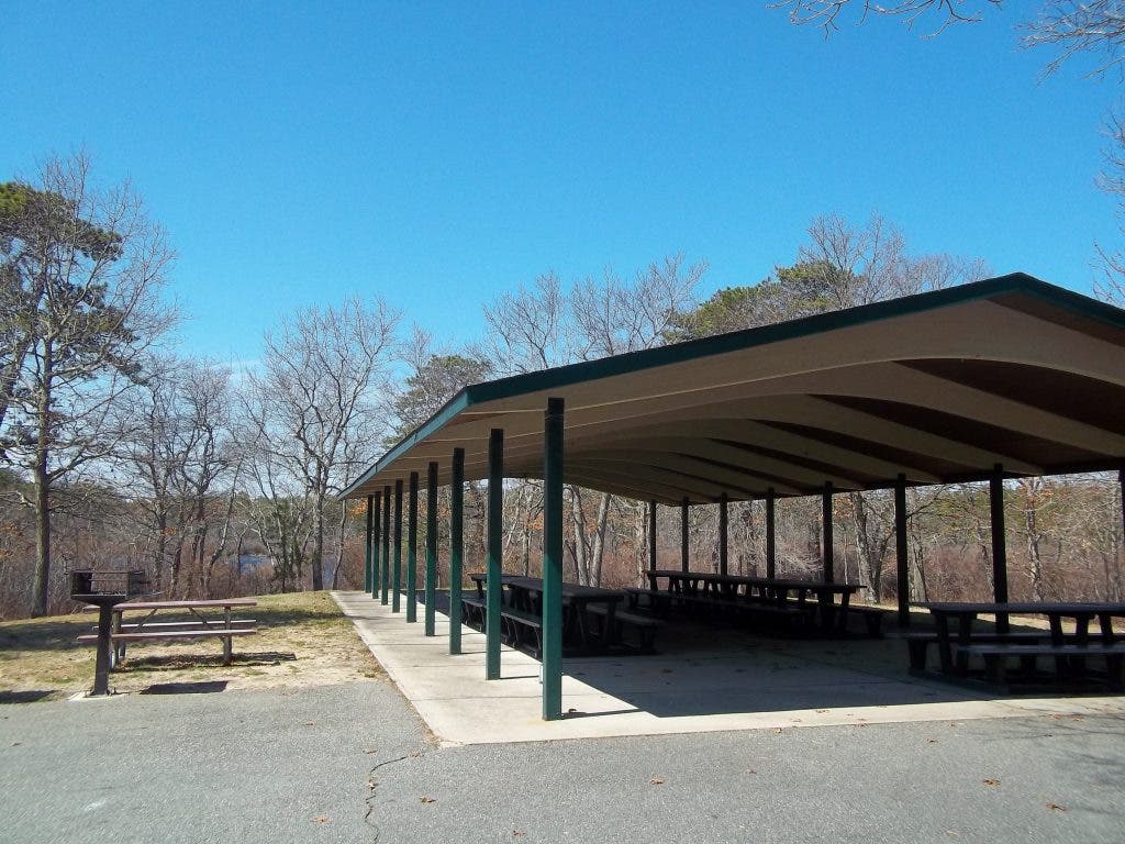 A Walk Through Sears Bellows Park | Westhampton, NY Patch