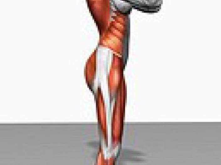 Why Do My Muscles Burn After I Work Out Ankeny Ia Patch