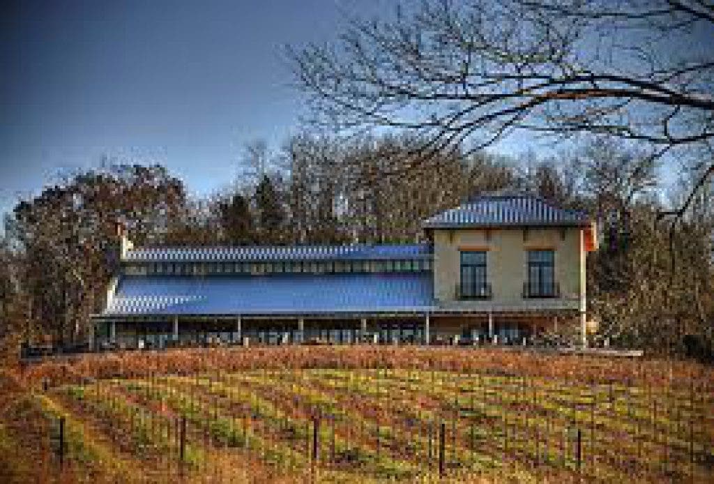 Scott Hepper Chandler Vineyards "Visions in the Vineyard" | Ladue, MO Patch