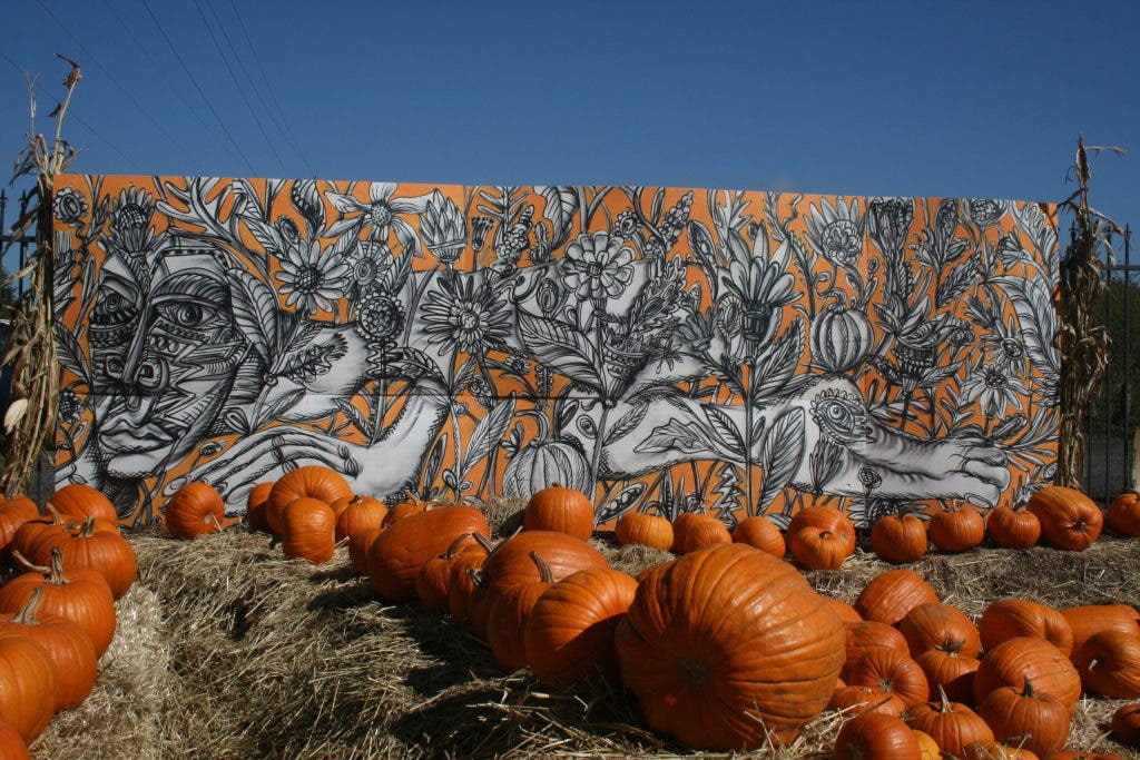 Tam Junction Pumpkin Patch Plans to Grow on Mill Valley | Mill Valley ...