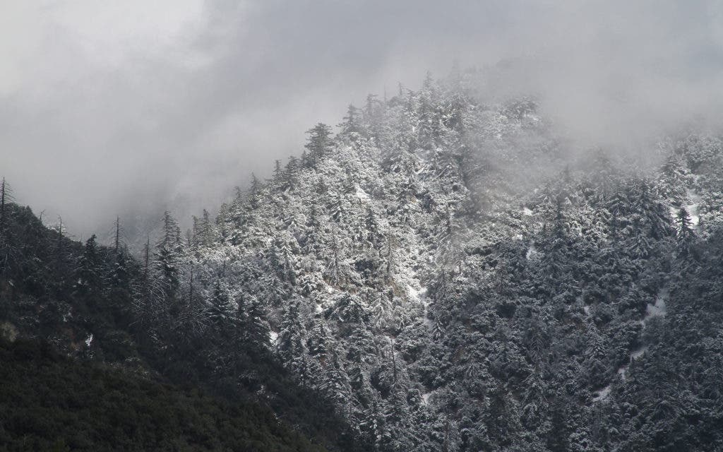 PHOTOS: Snow Line in Oak Glen | Banning, CA Patch