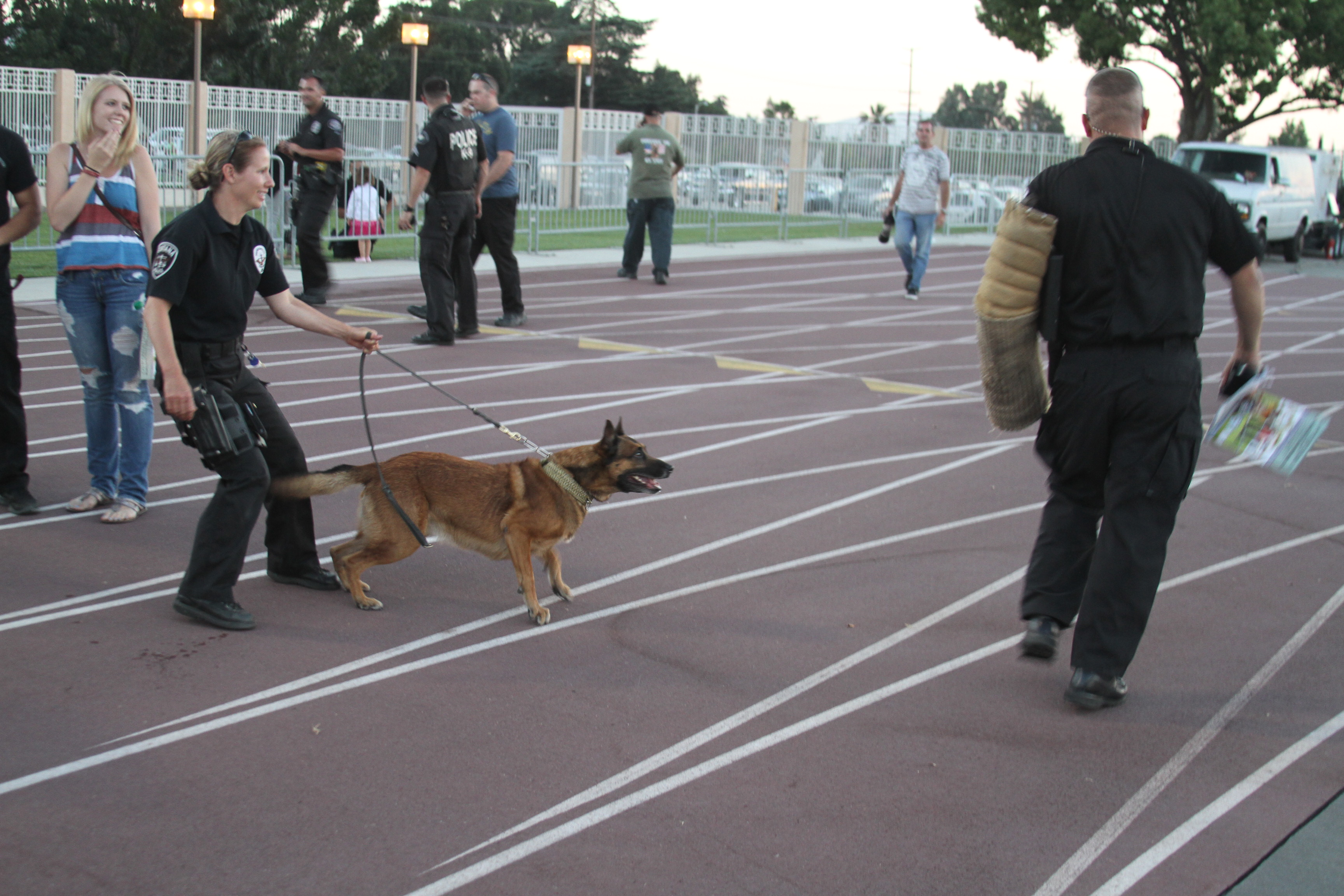 PHOTOS: Law Enforcement Dogs a Big Hit at Police K-9 Competition in ...