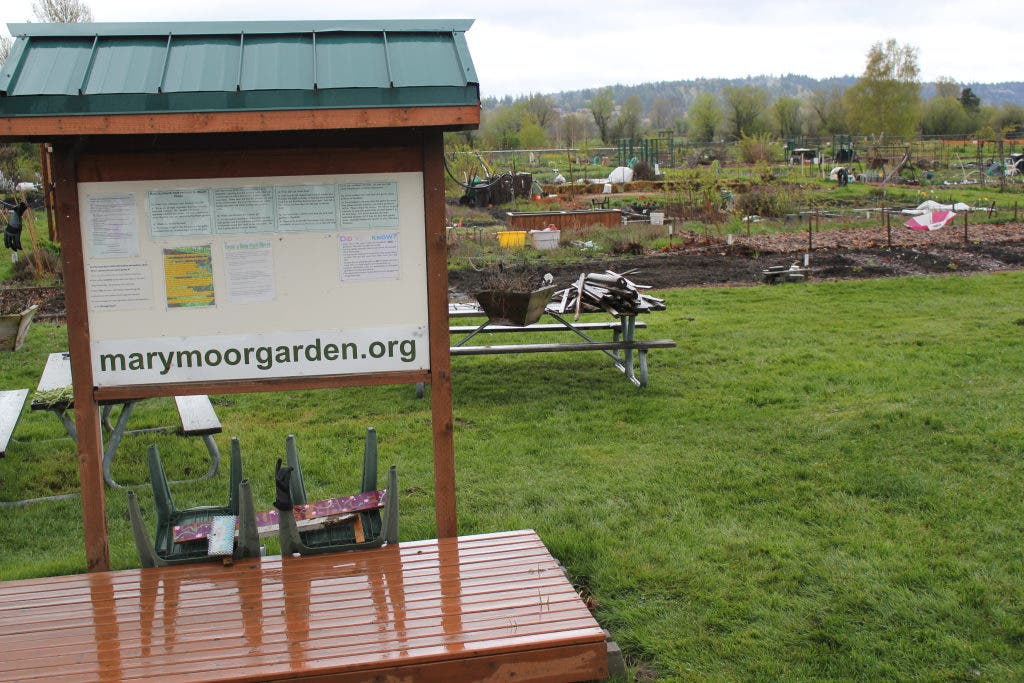 Community Gardens Provide Soil, Fellowship for Redmond Residents ...