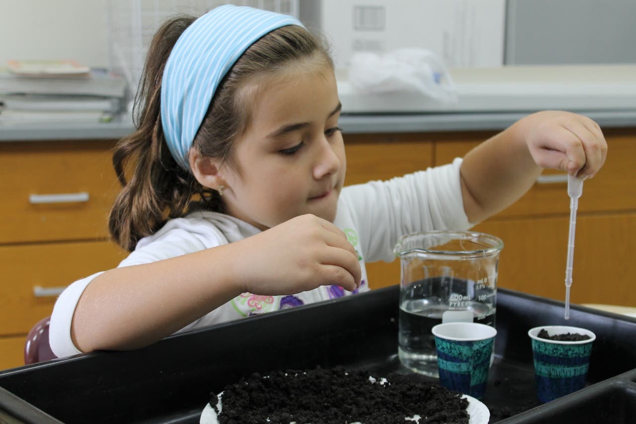 New Morning School Summer Day Camp & Discovery Days | Plymouth, MI Patch