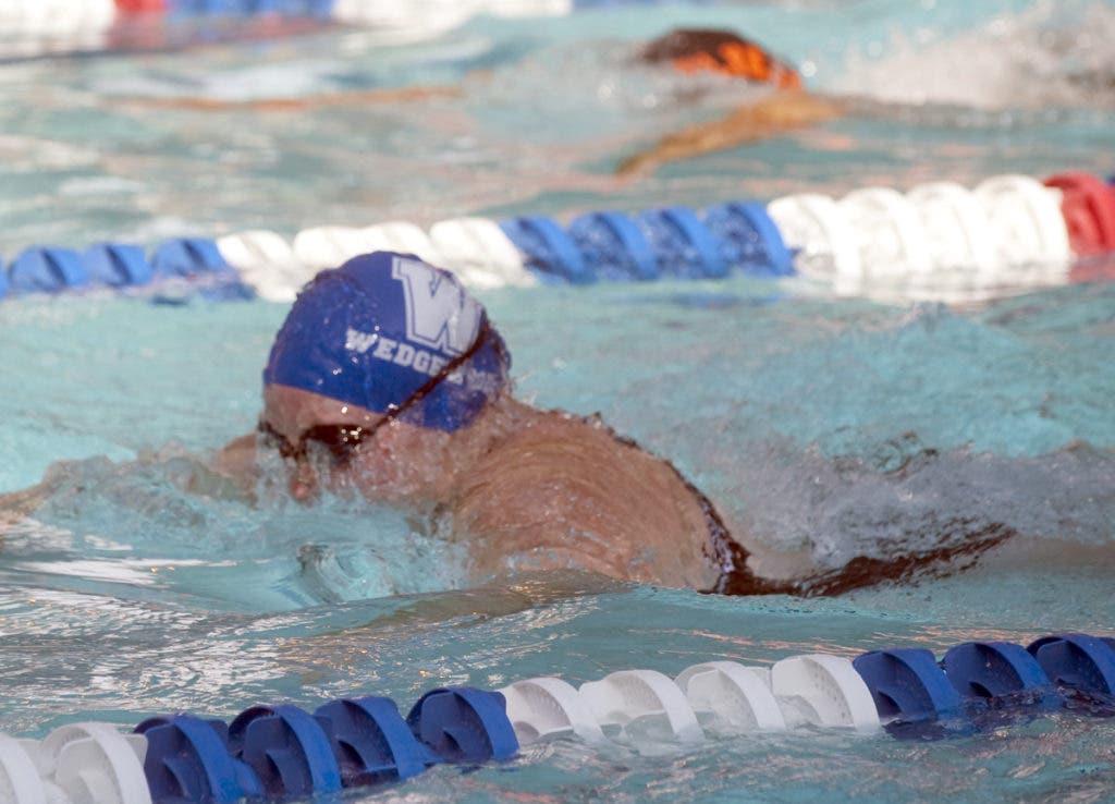 Viewfinder: Tri-County Swim Meet—Pheasant Run at Wedgewood ...
