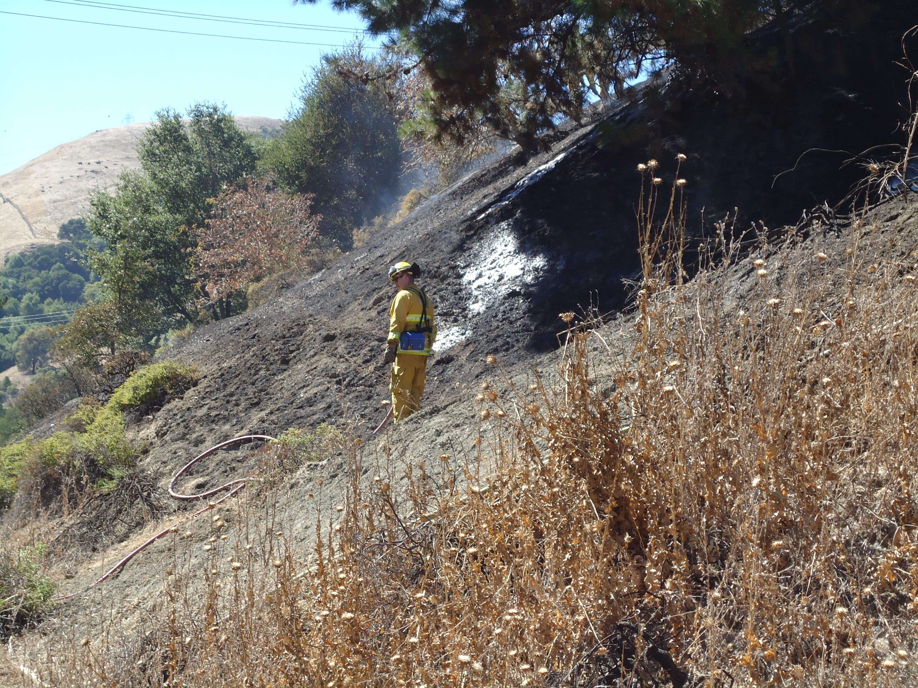 Orinda Grass Fire Briefly Closes Highway 24 Off Ramp | Lamorinda, CA Patch