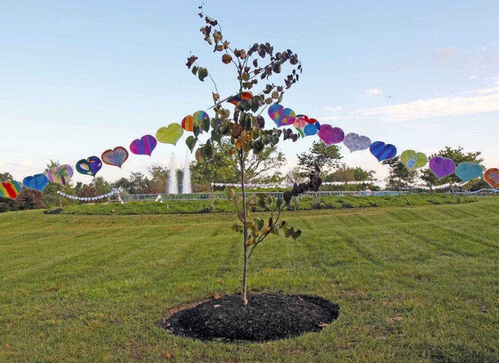 Plant a Tree to Nurture Your Soul | Northampton, PA Patch
