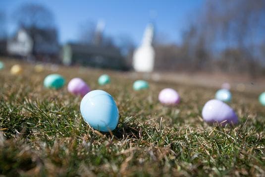 Annual Easter Egg Hunt at DCH | Dedham, MA Patch