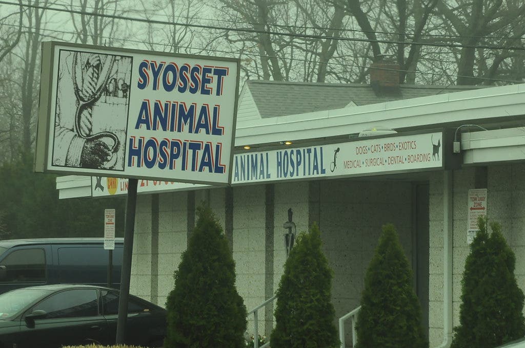 Photos: Streets & Storefronts of Syosset | Syosset, NY Patch