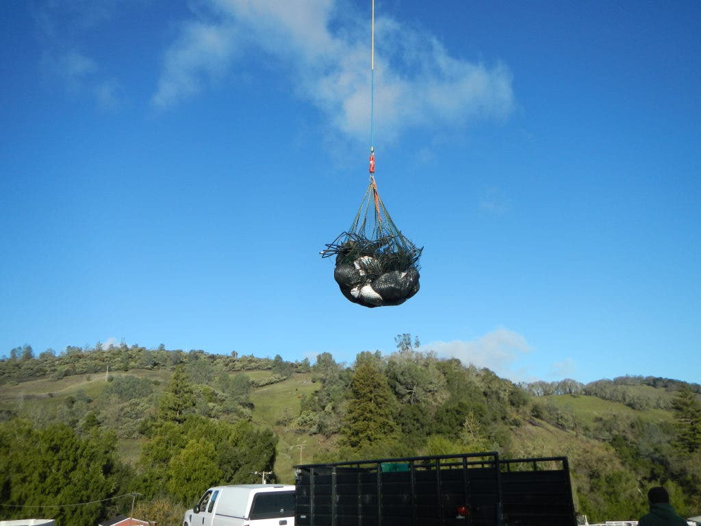 Photos: Mass Pot Seizure near Gilroy | Gilroy, CA Patch