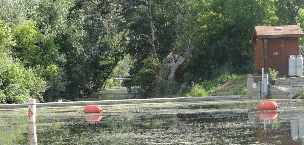 Muskego's Big Lake: A History Book of the City | Muskego, WI Patch