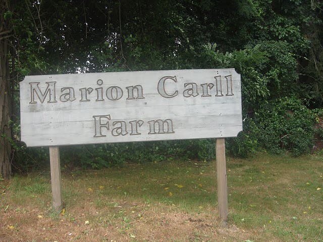 Photos: Carll Farm Visited by Residents | Commack, NY Patch