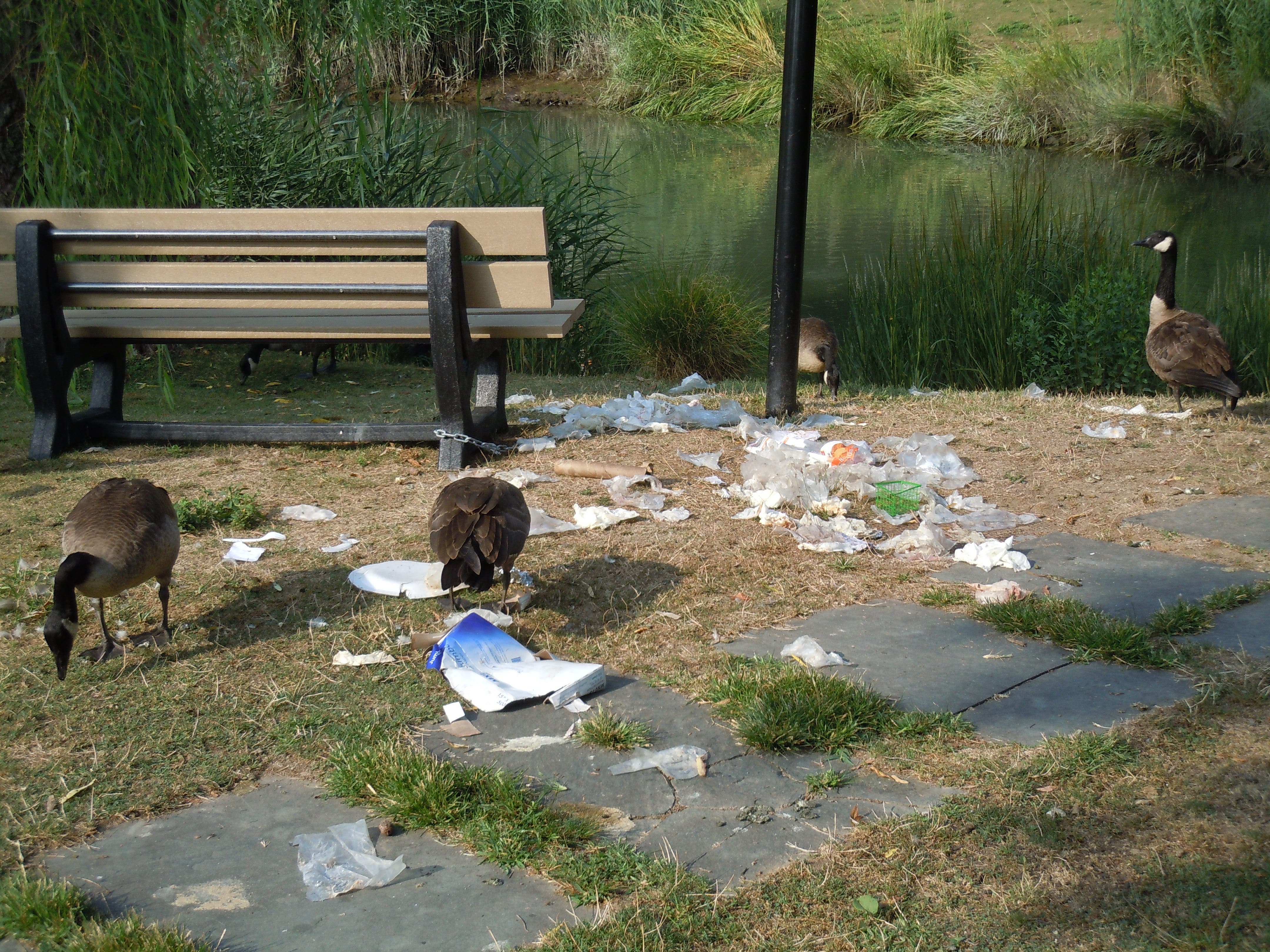 Trash Cleaned Up at East Setauket Pond Park | Three Village, NY Patch