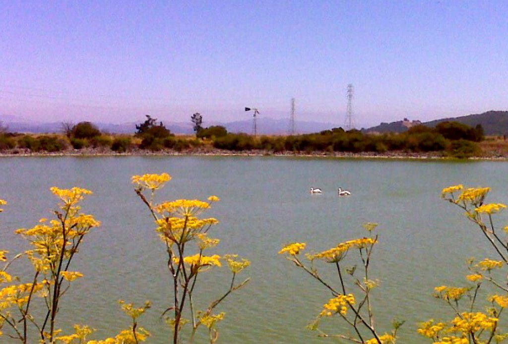 Ride McInnis Park and Las Gallinas Ponds | Mill Valley, CA Patch