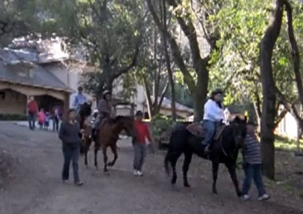 Folger Stable Community Day Open House II | Redwood City, CA Patch